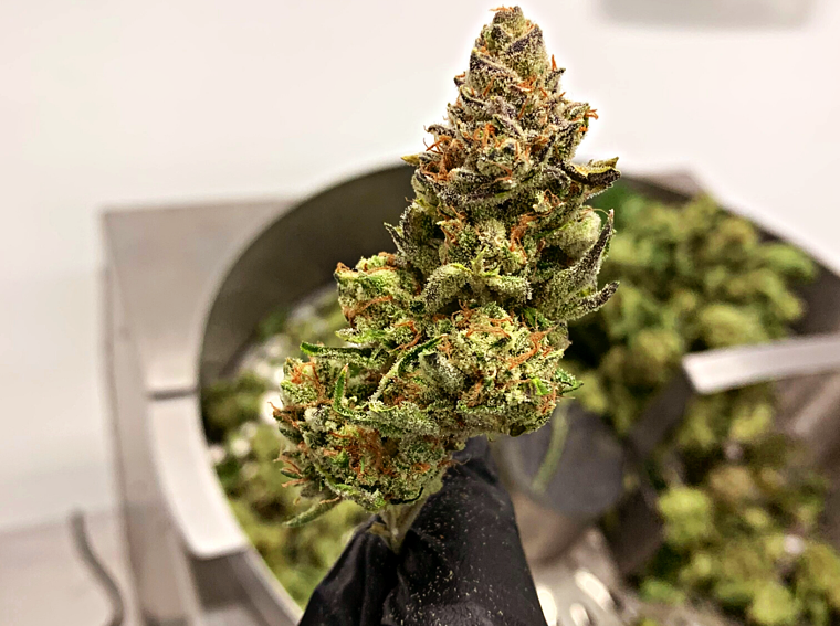 Efficiency Perfected: Maximizing Output with Batch Processing