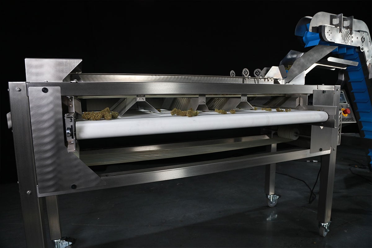 Maximize Your Cannabis Harvest With Automated Sorting